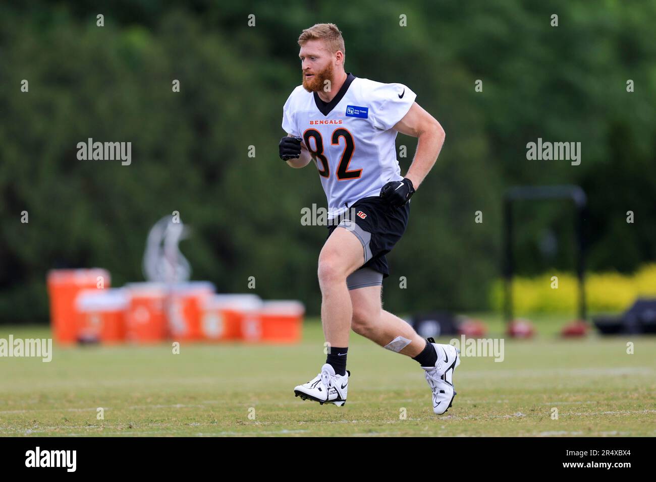Cincinnati Bengals' Nick Bowers takes part in a drill during a practice ...