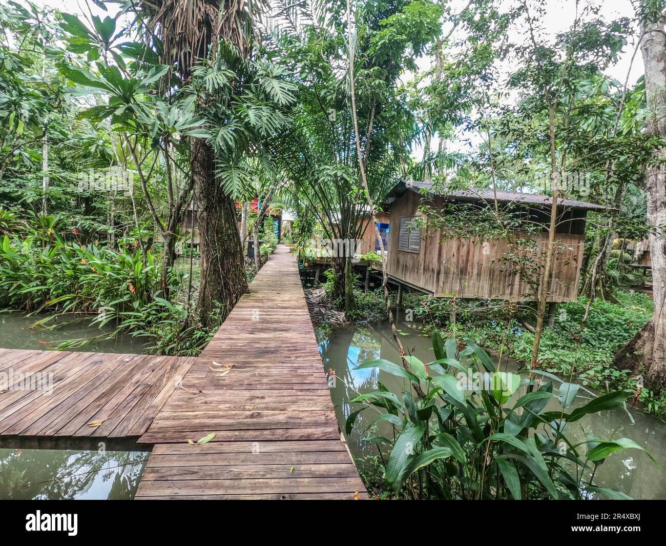 Rustic jungle resort on the Rio Dulce, Guatemala Stock Photo - Alamy