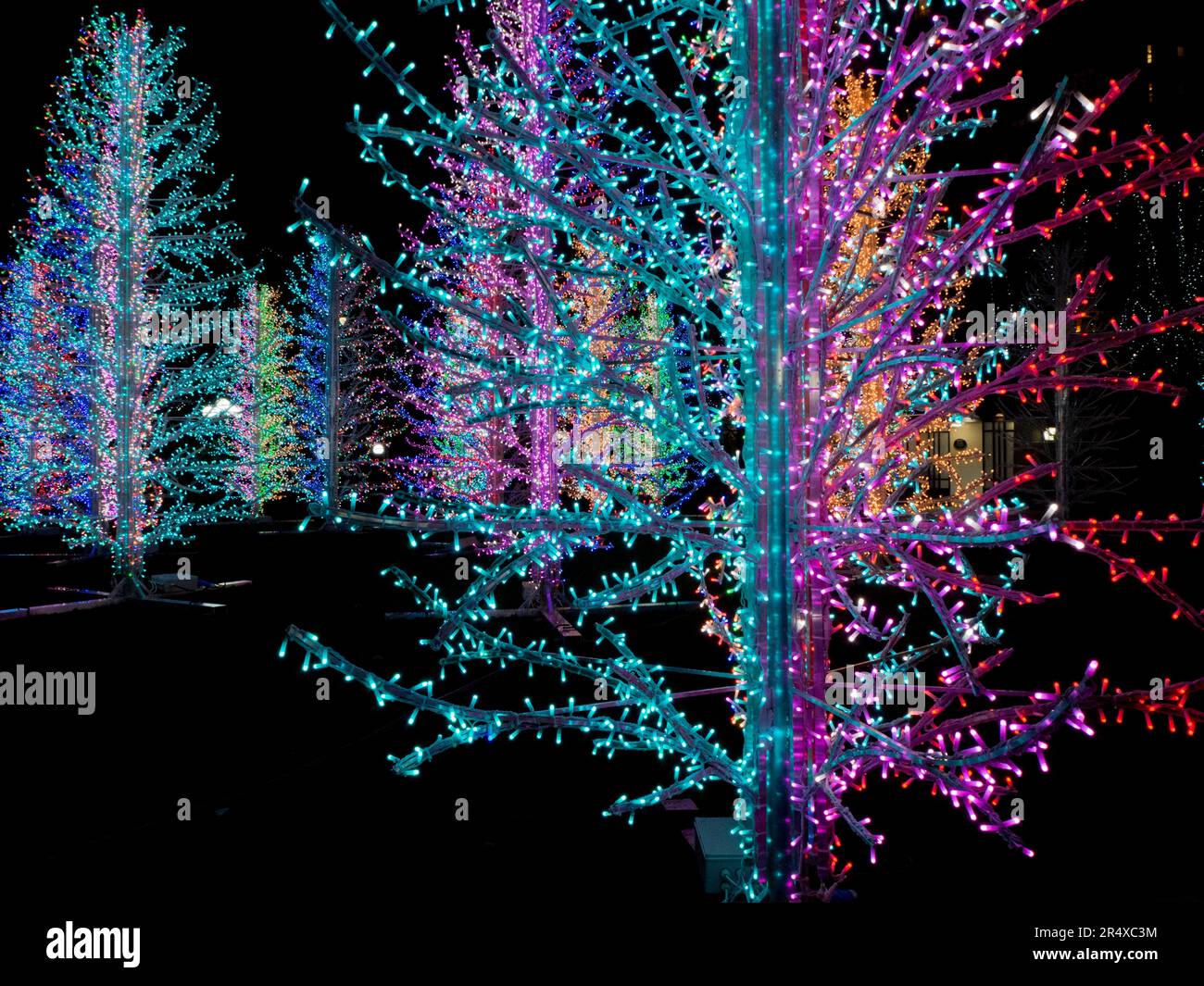 Sparkling forest of multi coloured lights trees installation at night ...