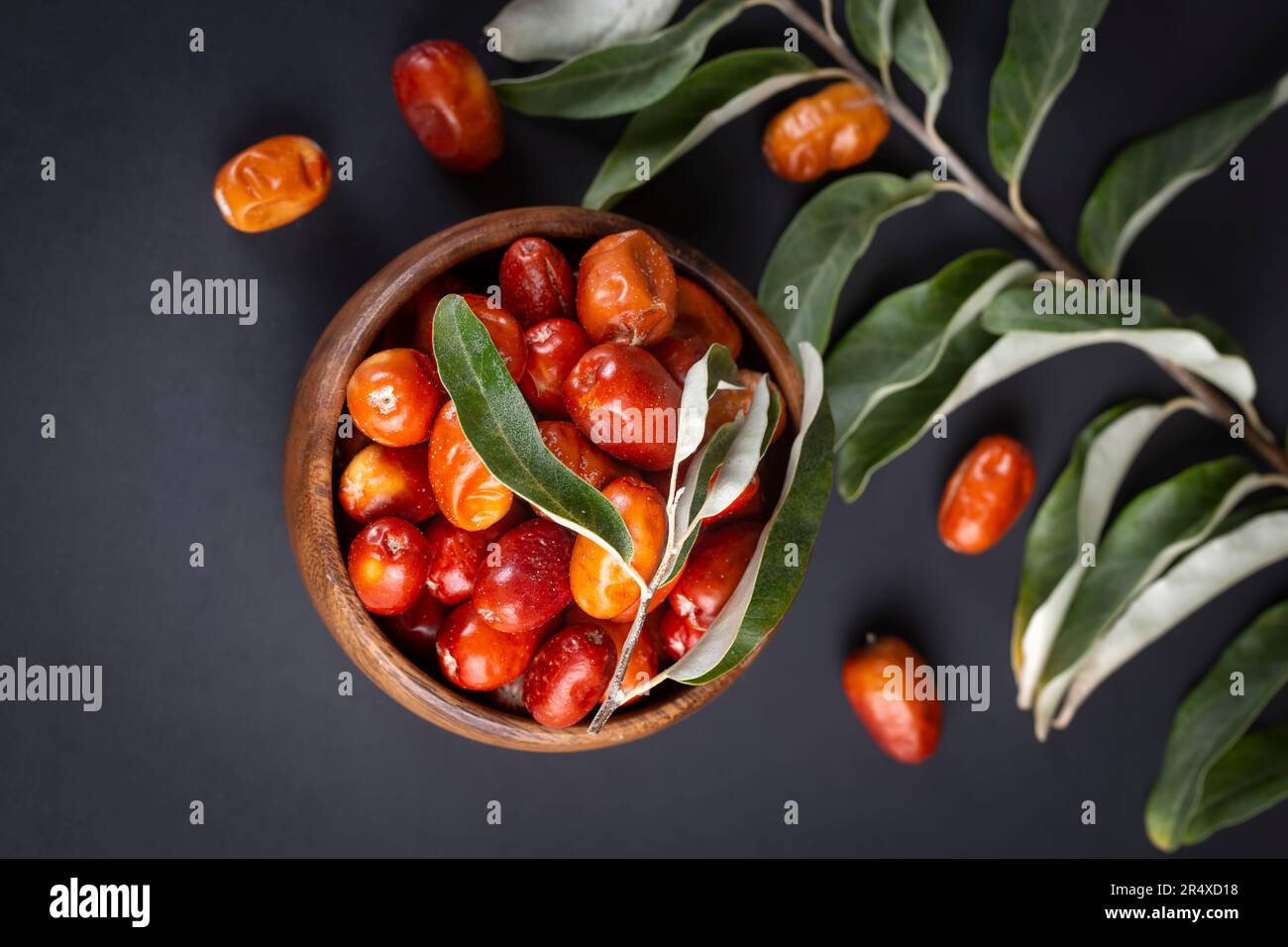 Silverberry tree hi-res stock photography and images - Alamy