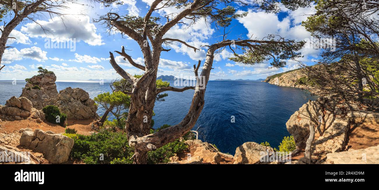 Photograph taken from the hiking trail to Cala Murta in Majorca during ...