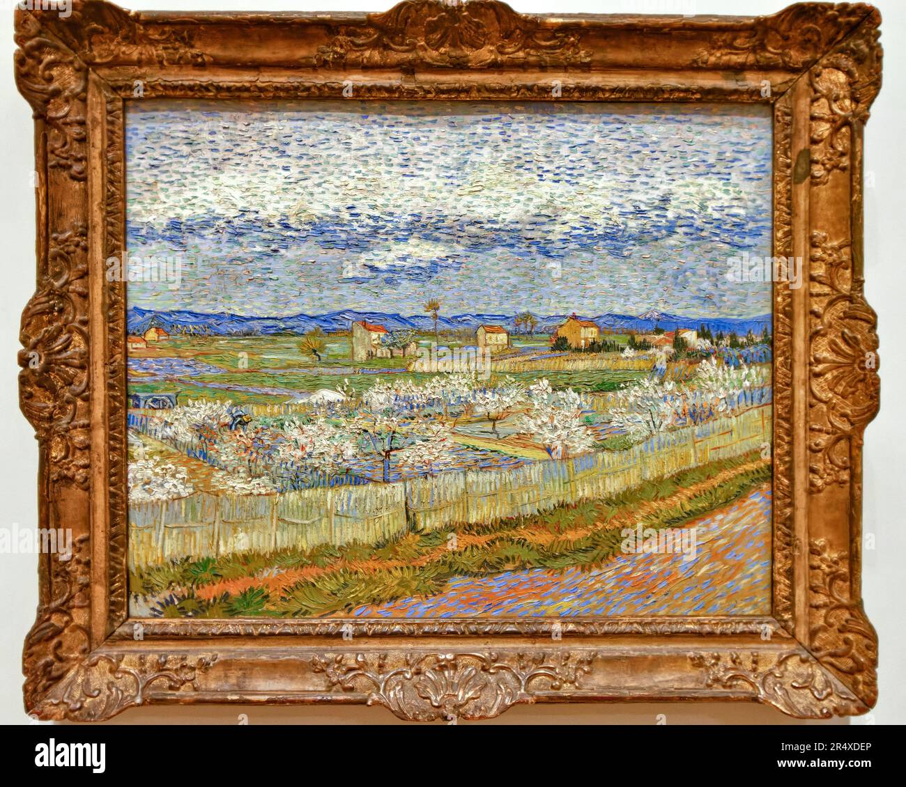 London The Courtauld Gallery Somerset House Vincent van Gogh Peach ...