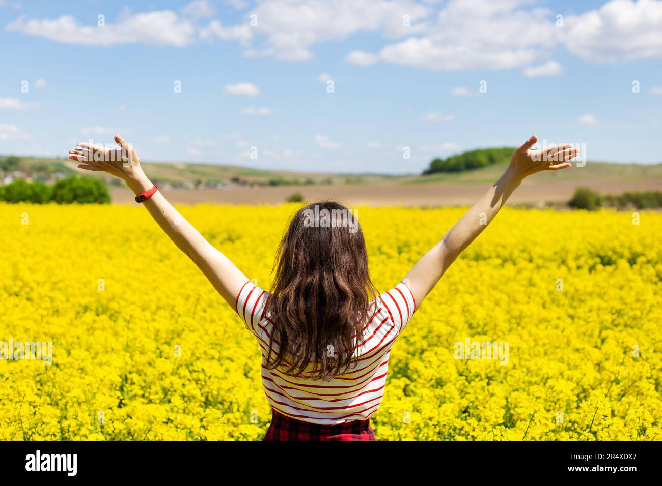 A girl stands in the middle of a beautiful rapeseed field with a ...