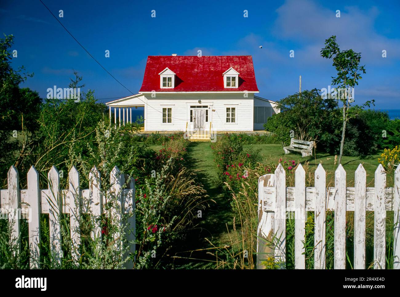 Cozy cottage along the coast with a red roof and white picket fence ...