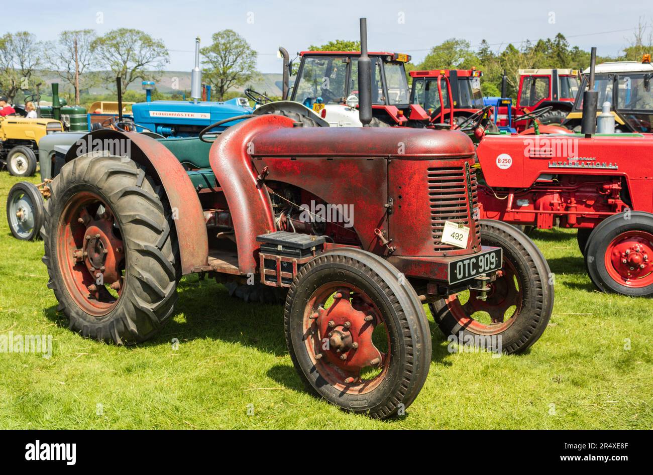 David Brown tractor. Chipping Steam Fair 2023 Stock Photo - Alamy