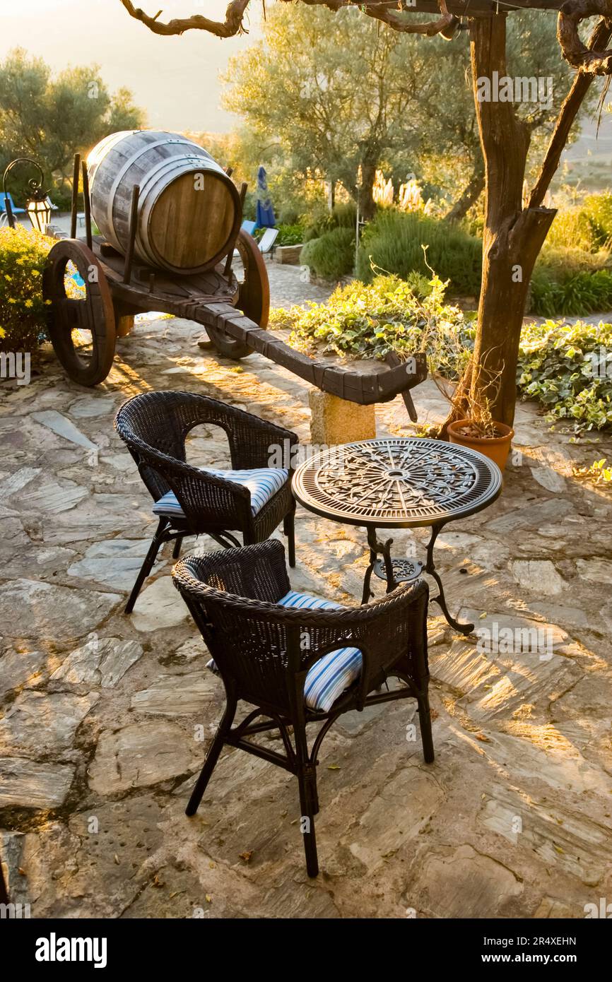 Table and two chairs and a wine barrel bathed in autumn light; Douro ...