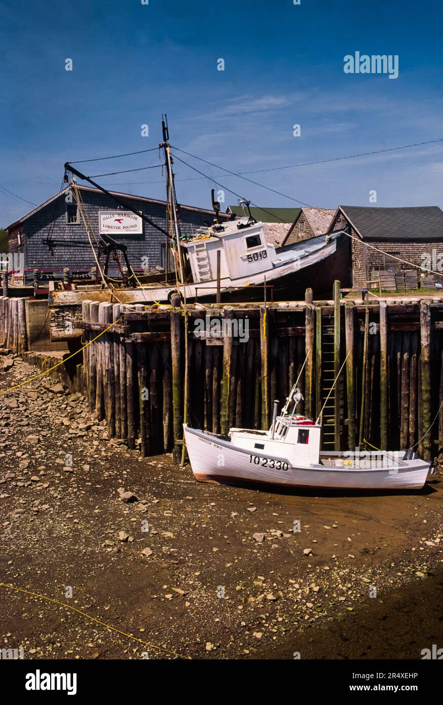 Low tide at Halls Harbour in the Bay of Fundy; Nova Scotia, Canada Stock Photo - Alamy