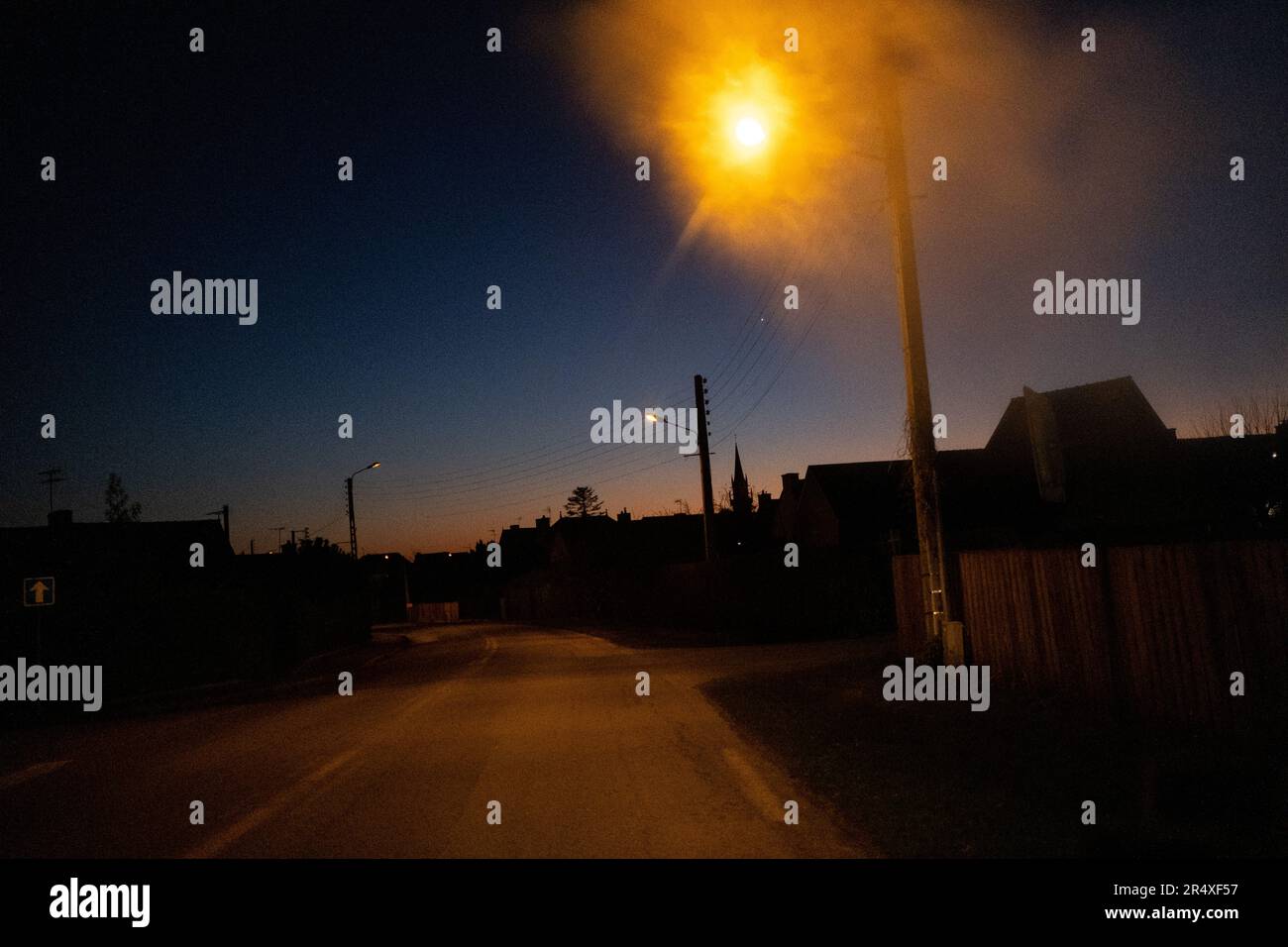 Arbre sur la plage hi-res stock photography and images - Alamy