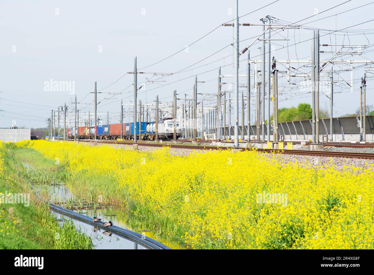 Elst, Netherlands - April 22, 2023: Grey locomotive with freight wagons ...