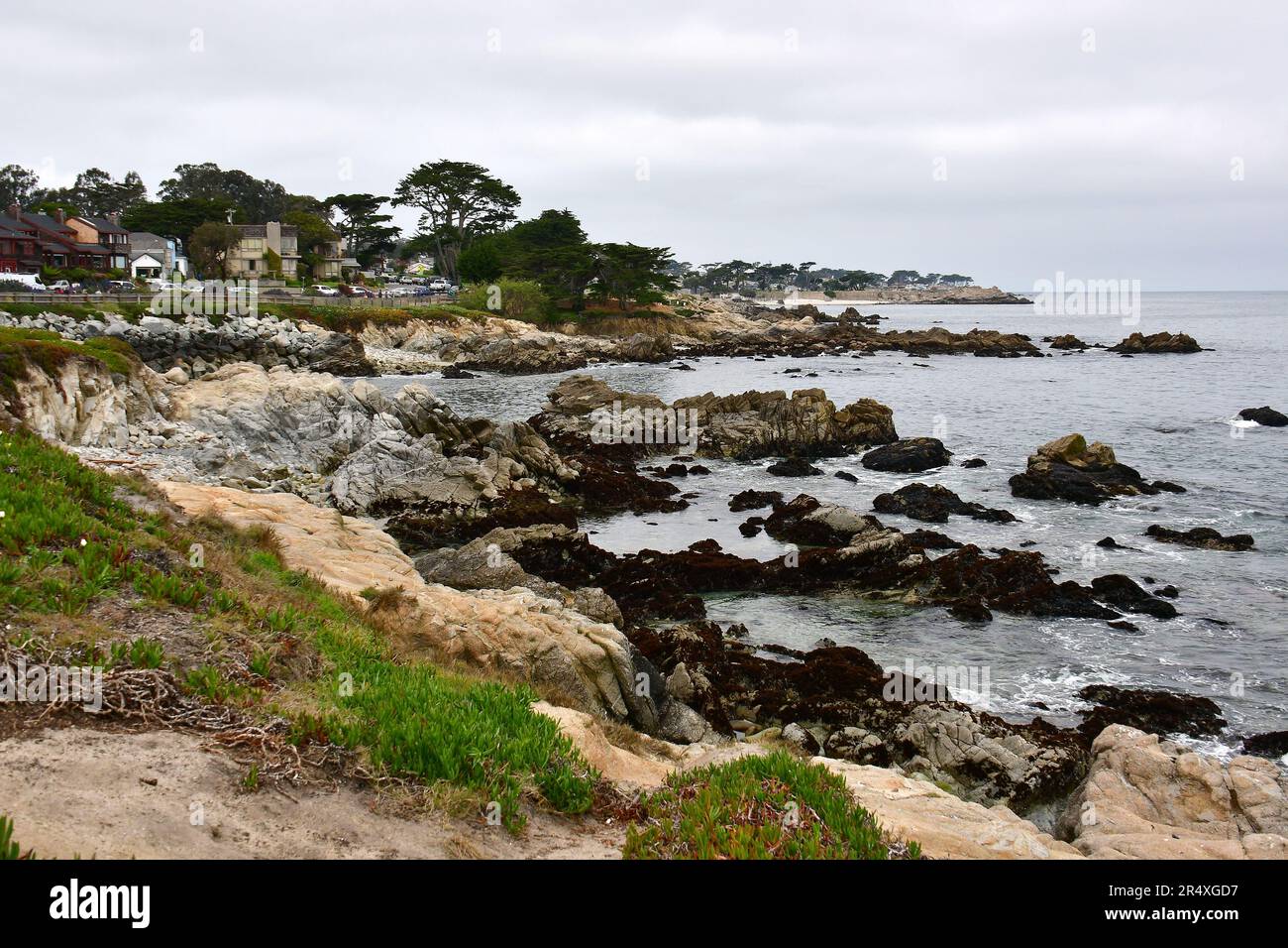 Monterey bay national marine sanctuary hi-res stock photography and ...