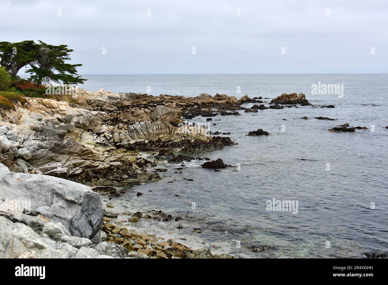 coast, Lovers Point, State Marine Reserve, Monterey Bay National Marine ...