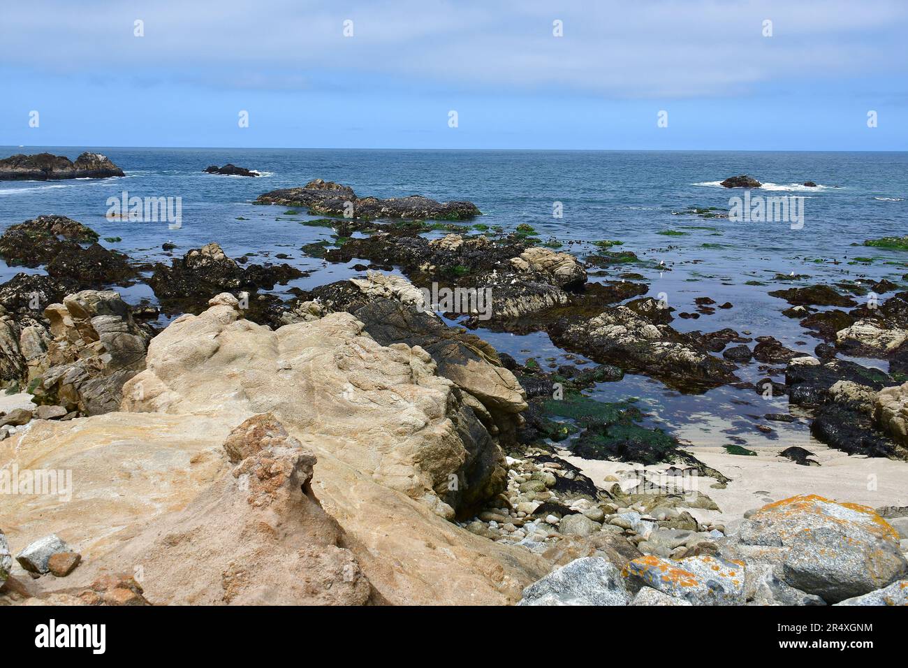 coast, Pacific Grove Marine Gardens, Monterey Bay National Marine ...