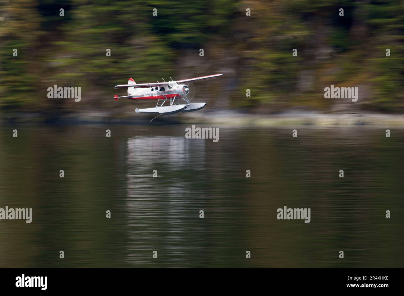 Seaplane flying low over the water in Rudyard Bay, Misty Fiords ...