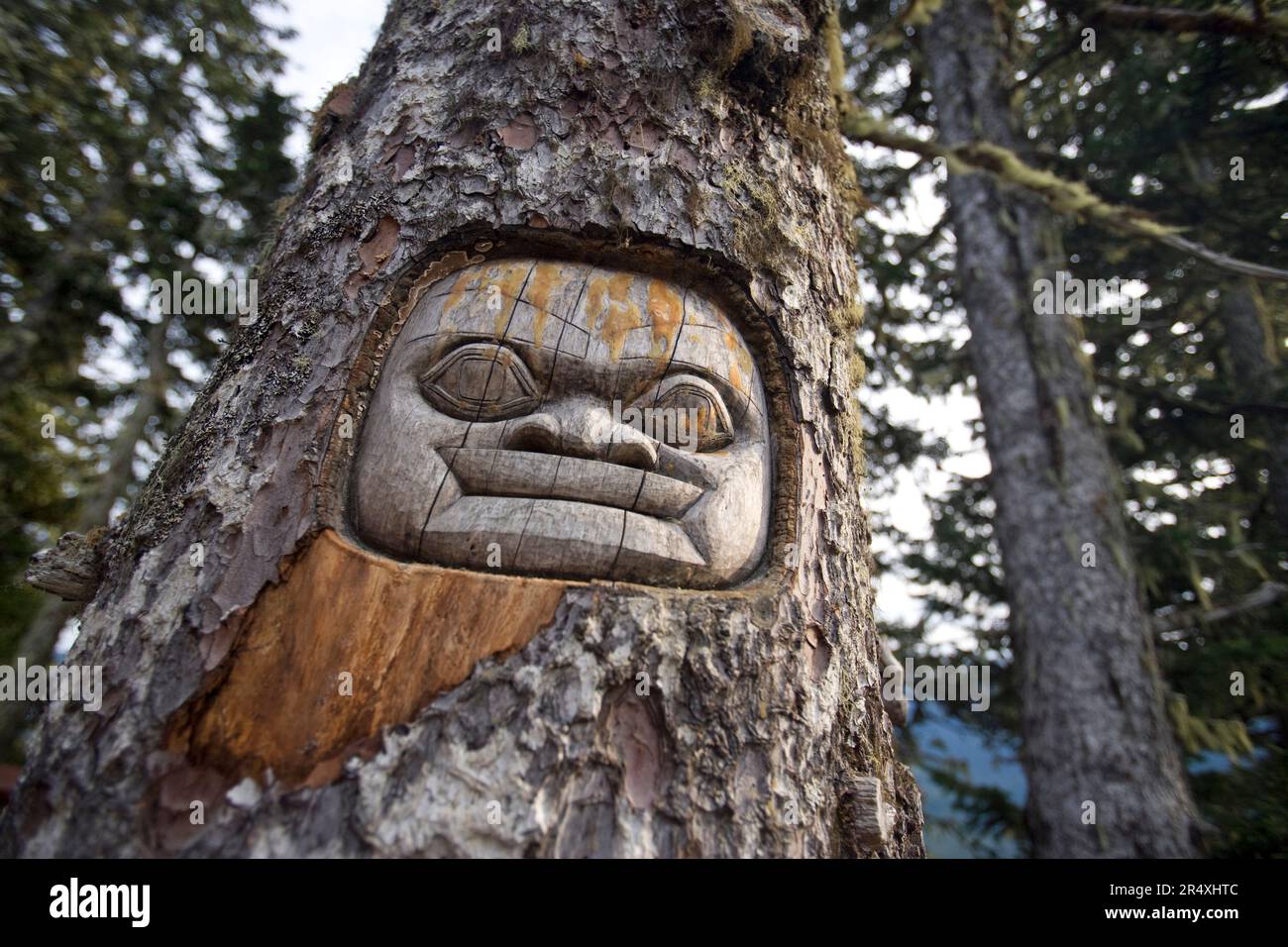 Tree carving alaska hi-res stock photography and images - Alamy