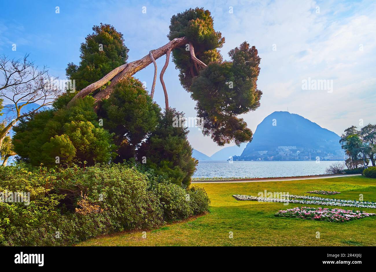 The lush trees, green lawn and flower beds in Parco Ciani (Parco Civico ...