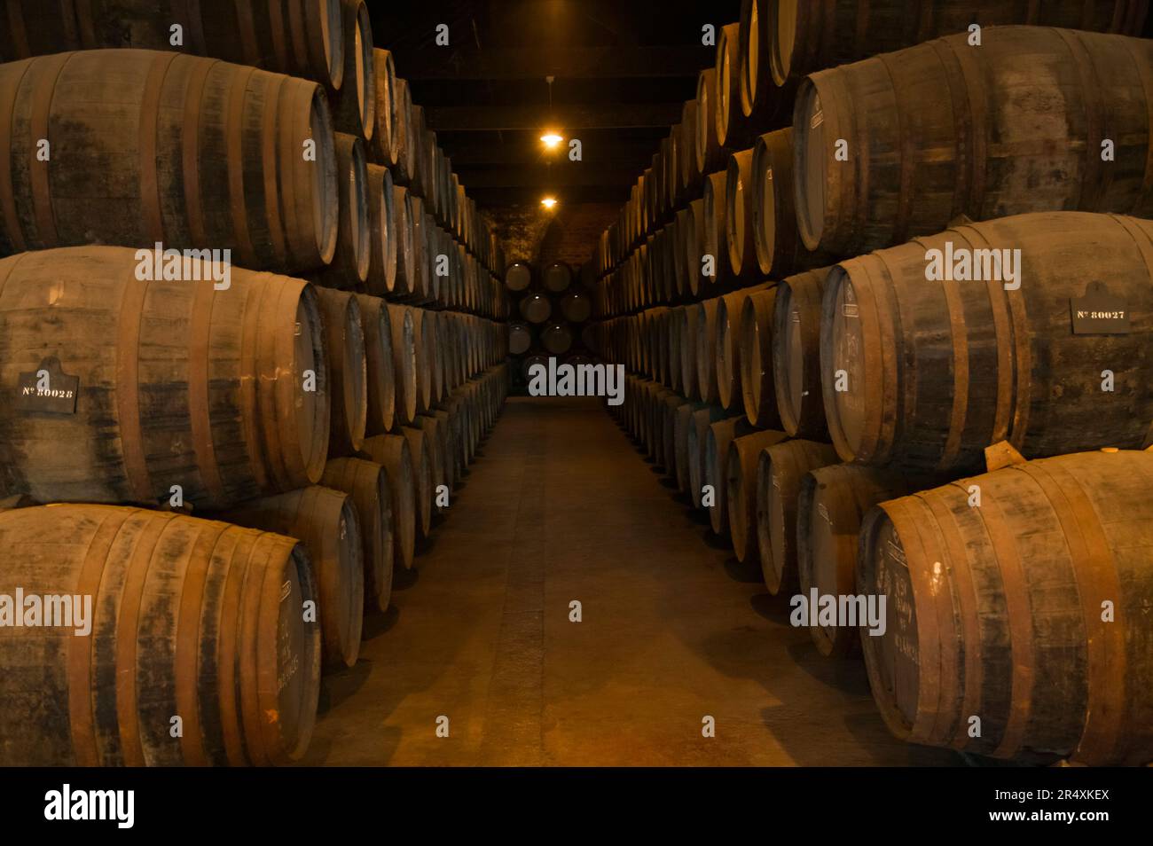 Wine casks in a wine cellar hi-res stock photography and images - Alamy
