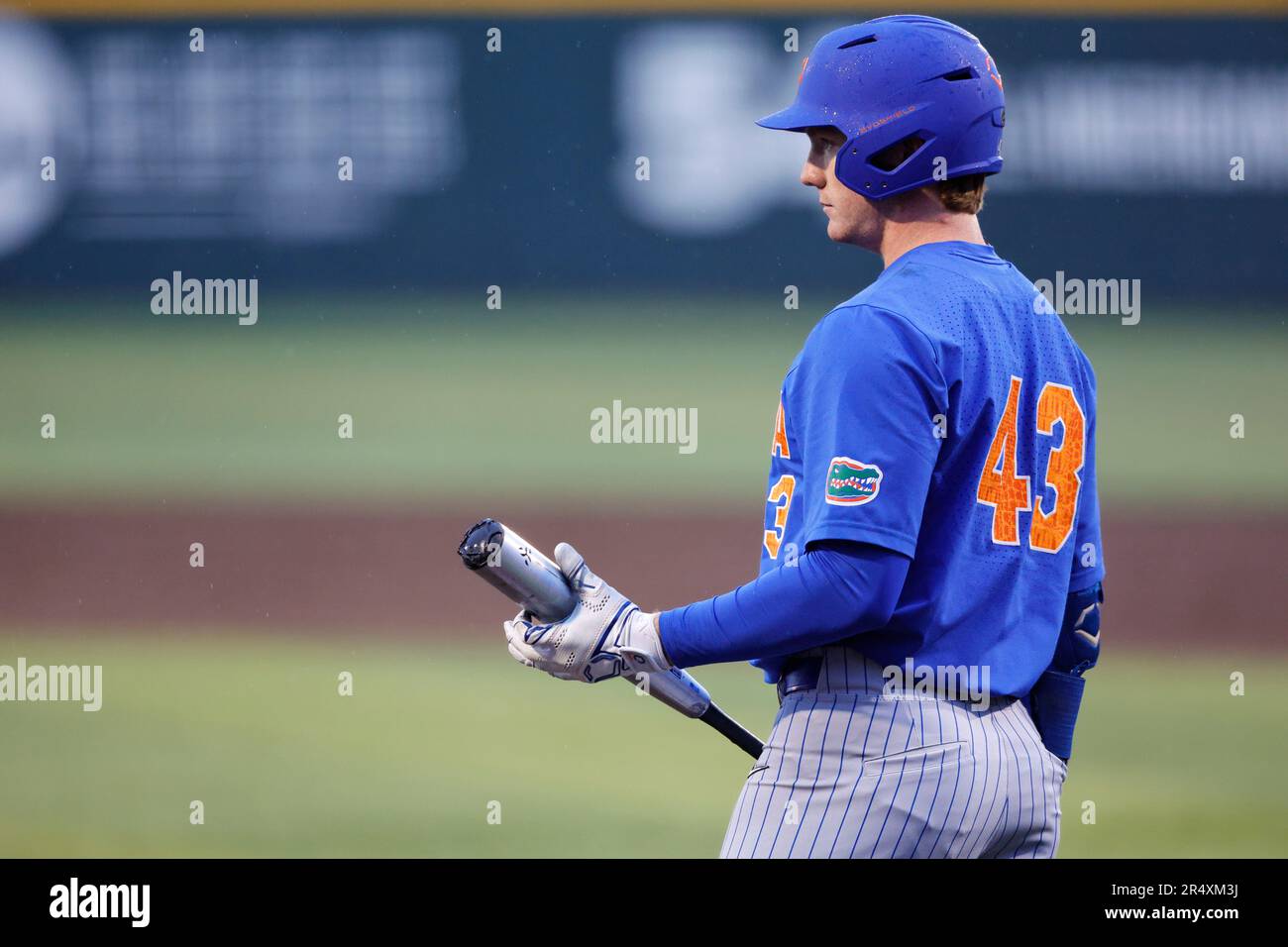 Florida Gators designated hitter Matt Prevesk (43) at bat against the ...