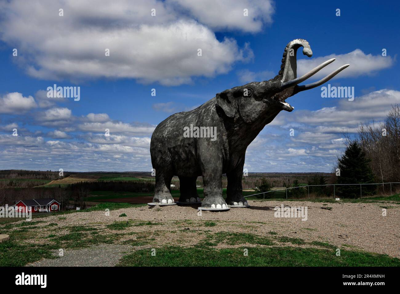 Mastadon Ridge, Stewiacke, Nova Scotia, Canada Stock Photo - Alamy