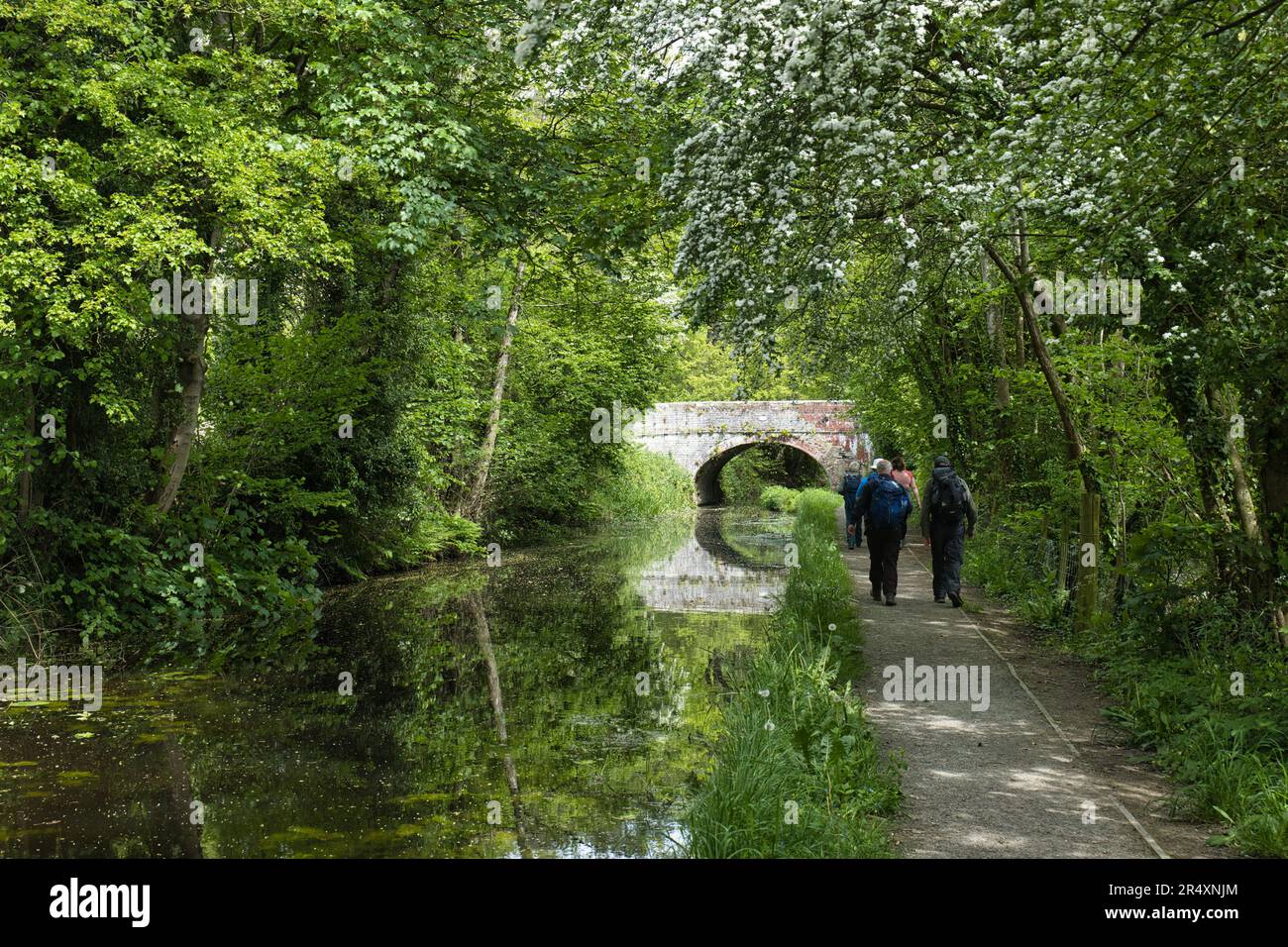 Montgomery Canal south of Welshpool Stock Photo - Alamy