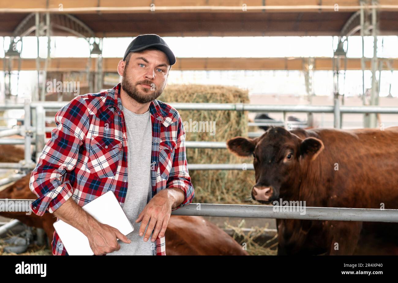 Young livestock farmer in cowshed at ranch on background of cows Stock ...