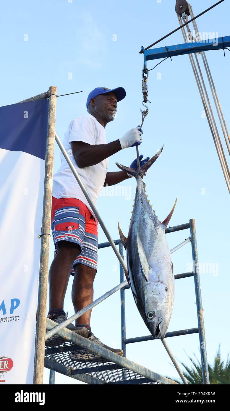 Antigua and barbuda fish hi-res stock photography and images - Alamy
