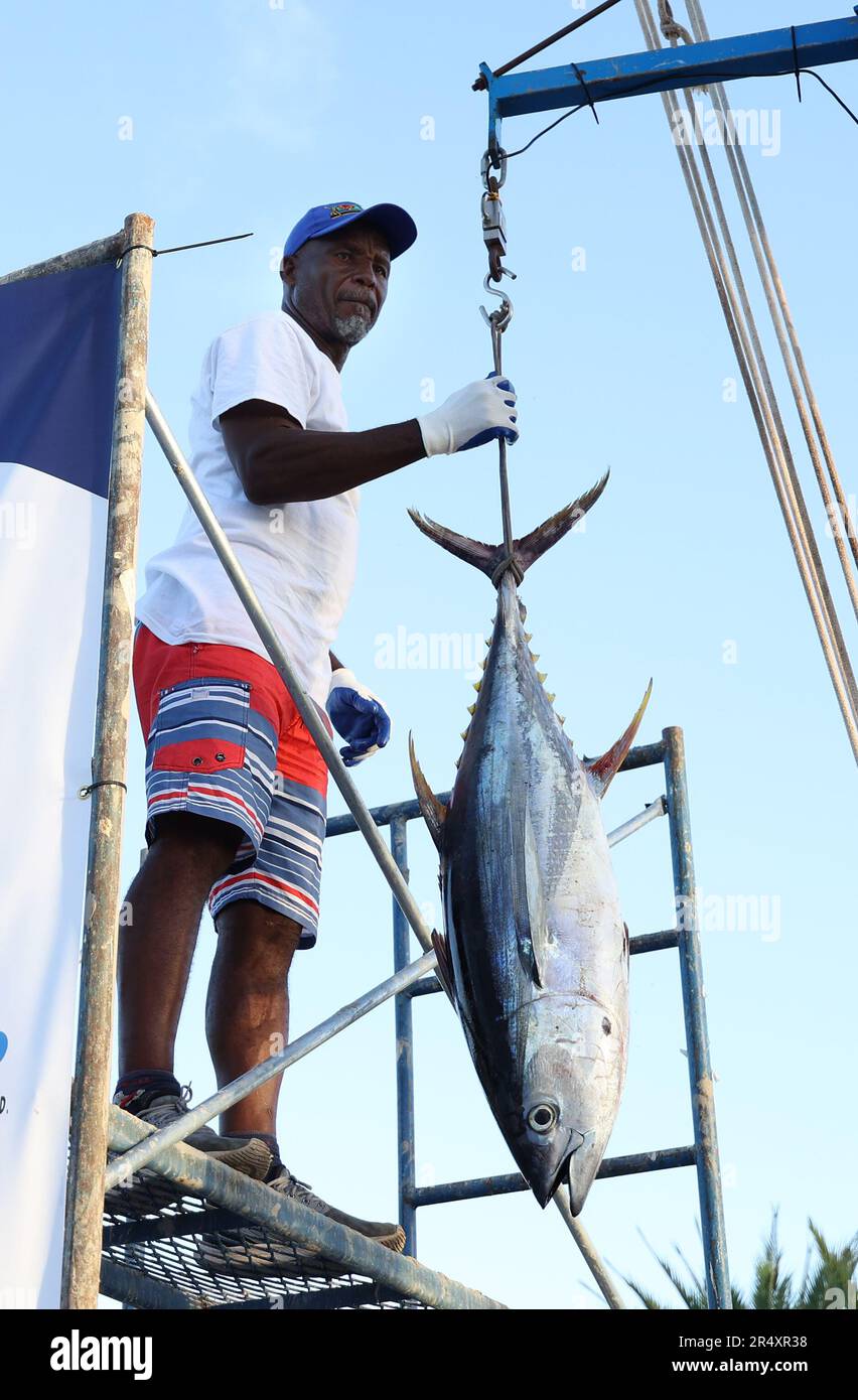 Competitors bring their catch to shore to be weighed on the final day ...