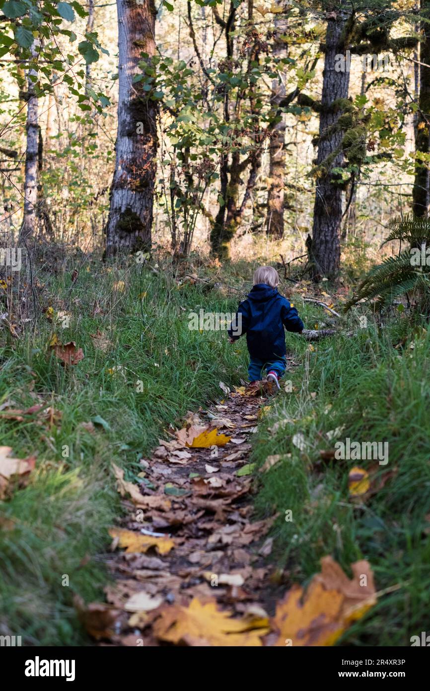 Child hiking trail woods trees path hi-res stock photography and images ...