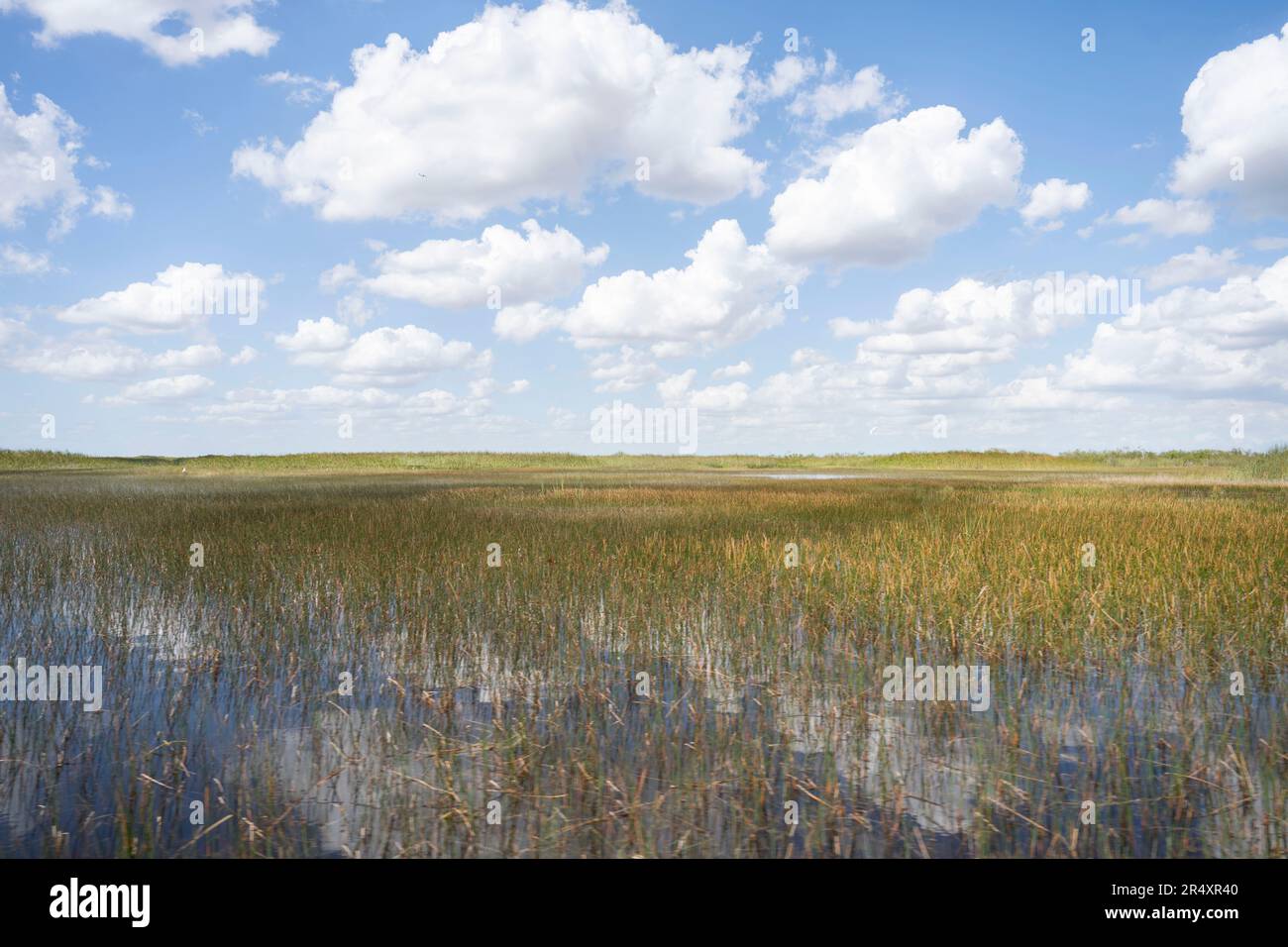 Everglades, Florida, USA. 8th May, 2023. Everglades National Park is a ...