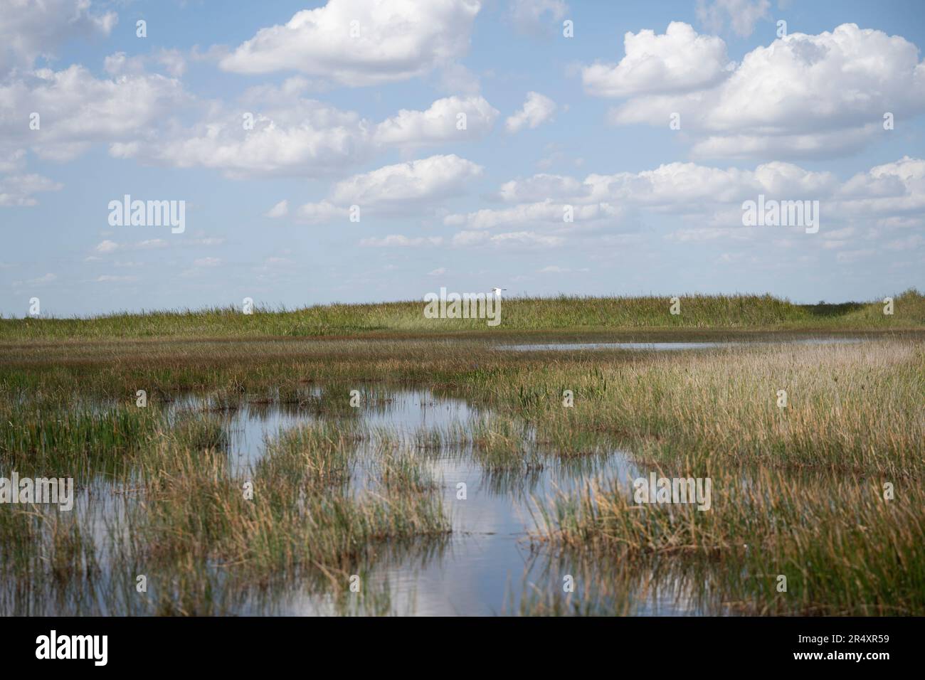 Everglades, Florida, USA. 8th May, 2023. Everglades National Park is a ...