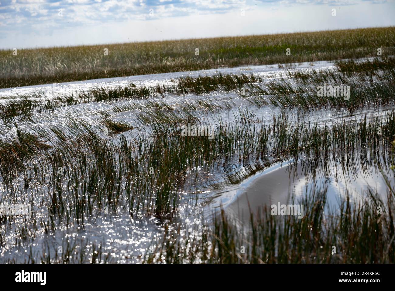 Everglades, Florida, USA. 8th May, 2023. Everglades National Park is a ...