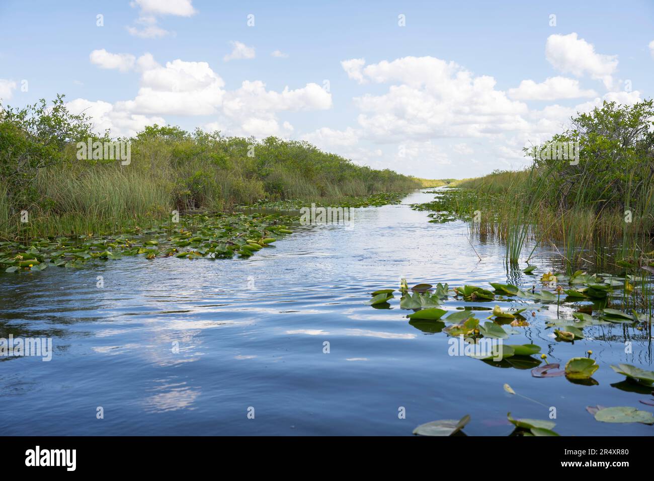 Everglades, Florida, USA. 8th May, 2023. Everglades National Park is a ...