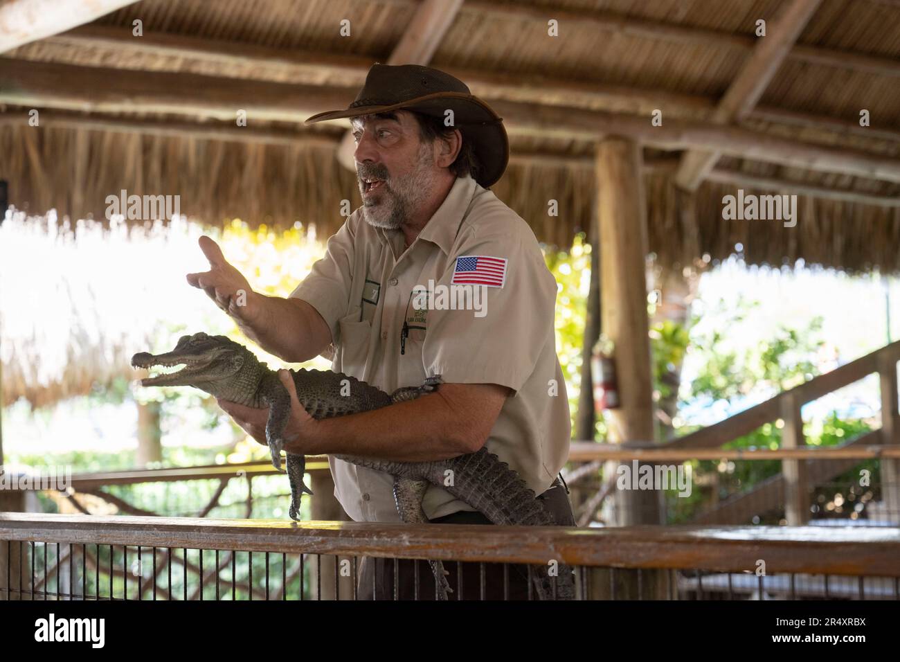 May 8, 2023, Everglades, Florida, United States: A zoo keeper holding ...
