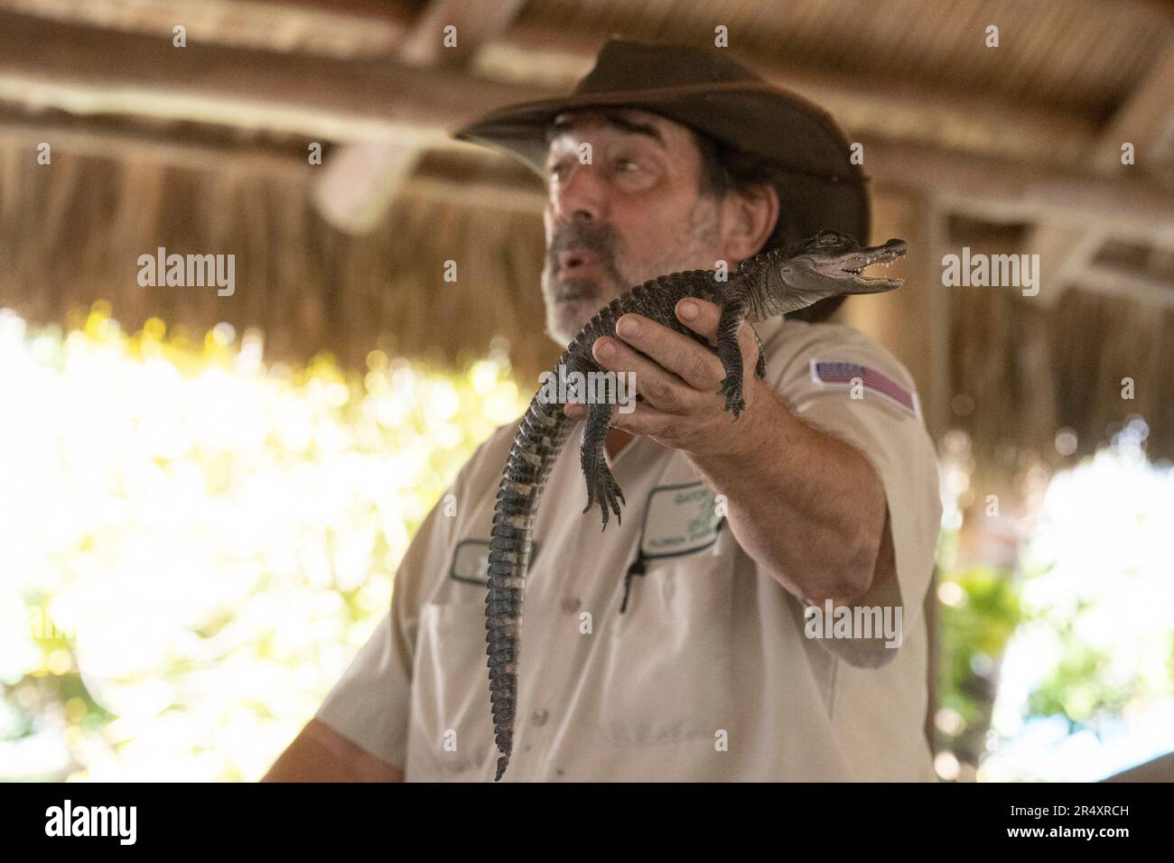 Everglades, Florida, USA. 8th May, 2023. A zoo keeper holding an ...