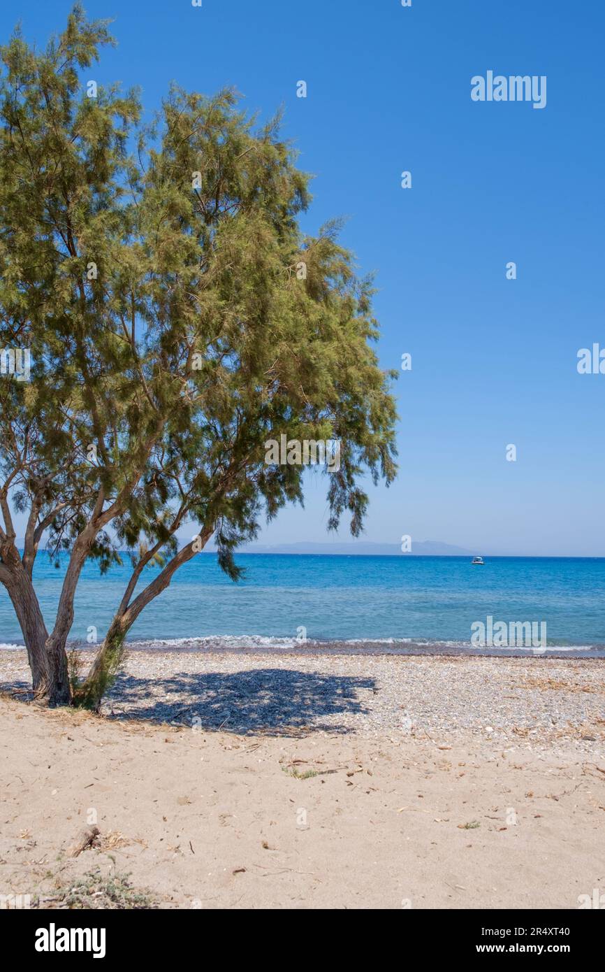 Kos, Greek Islands, Greece Stock Photo - Alamy
