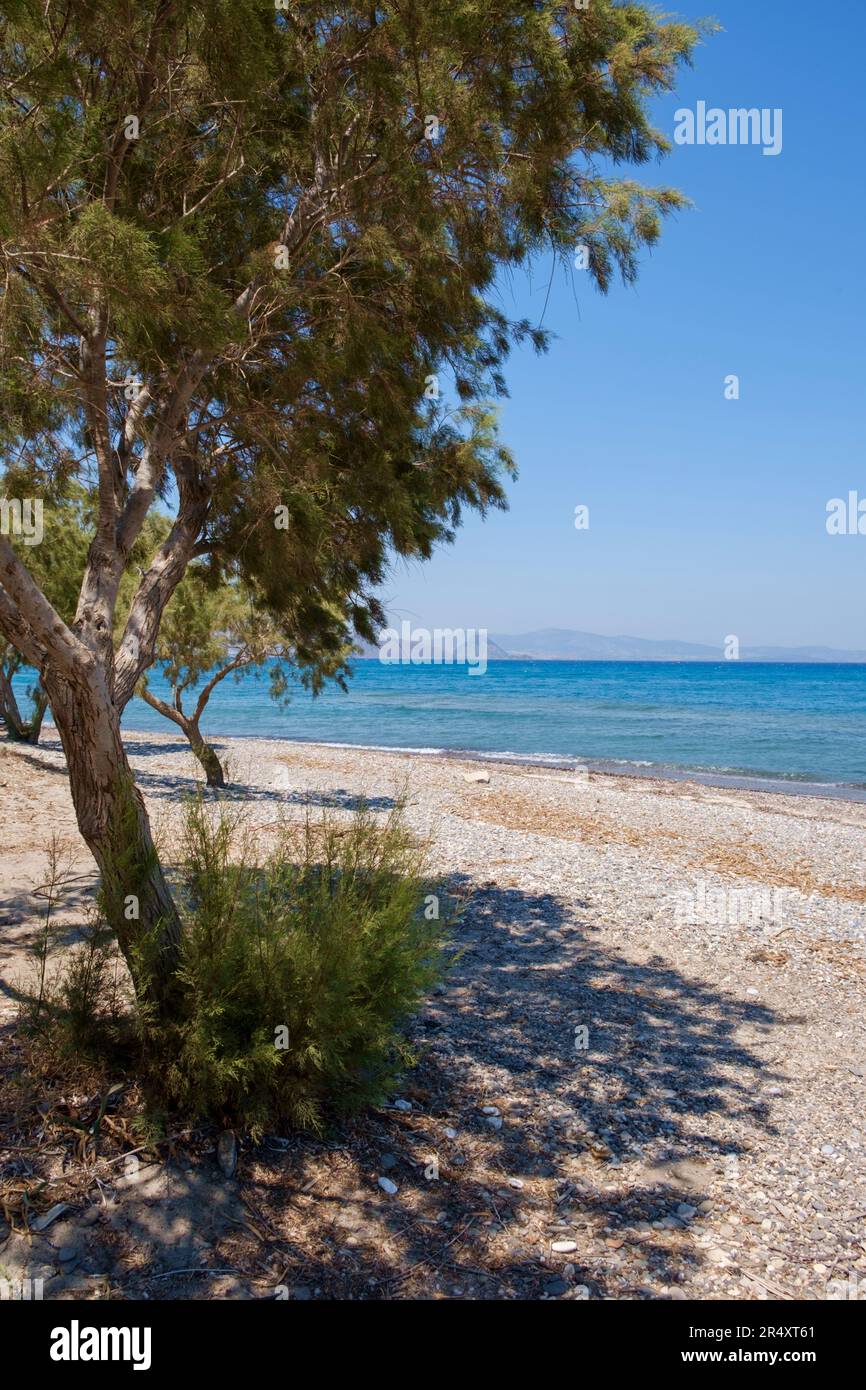 Kos, Greek Islands, Greece Stock Photo - Alamy