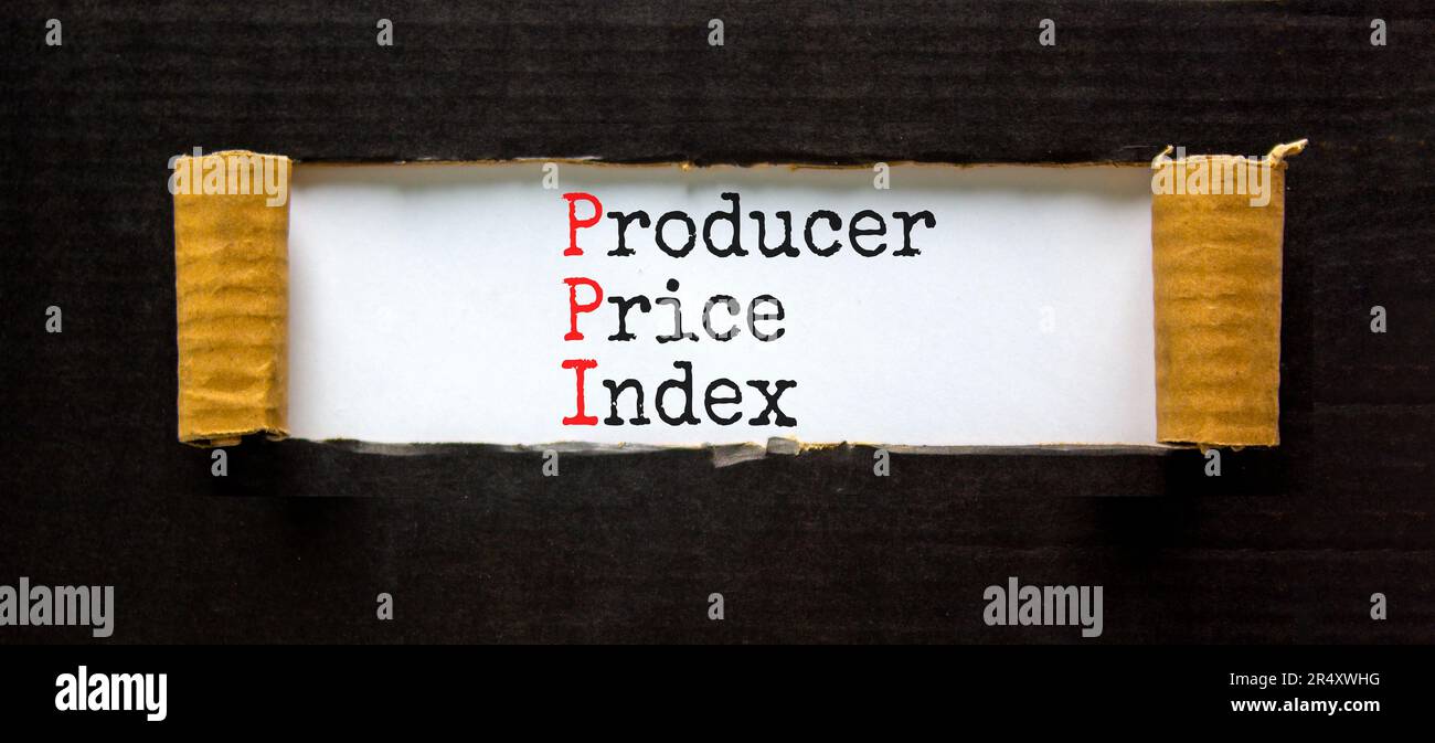 PPI Producer price index symbol. Concept words PPI Producer price index ...