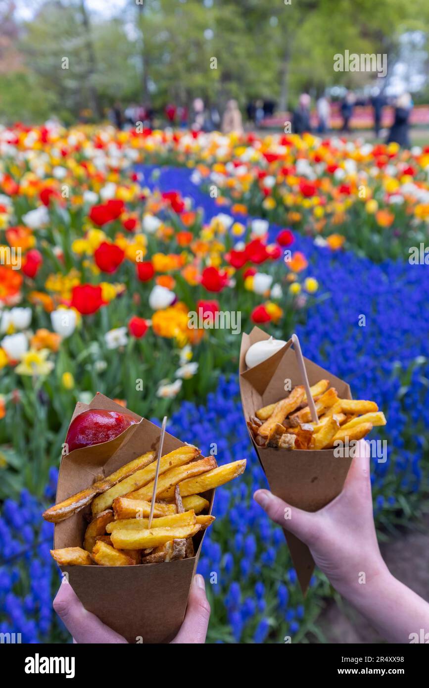 Belgian fries in Keukenhof flower garden, Lisse, Netherlands Stock ...