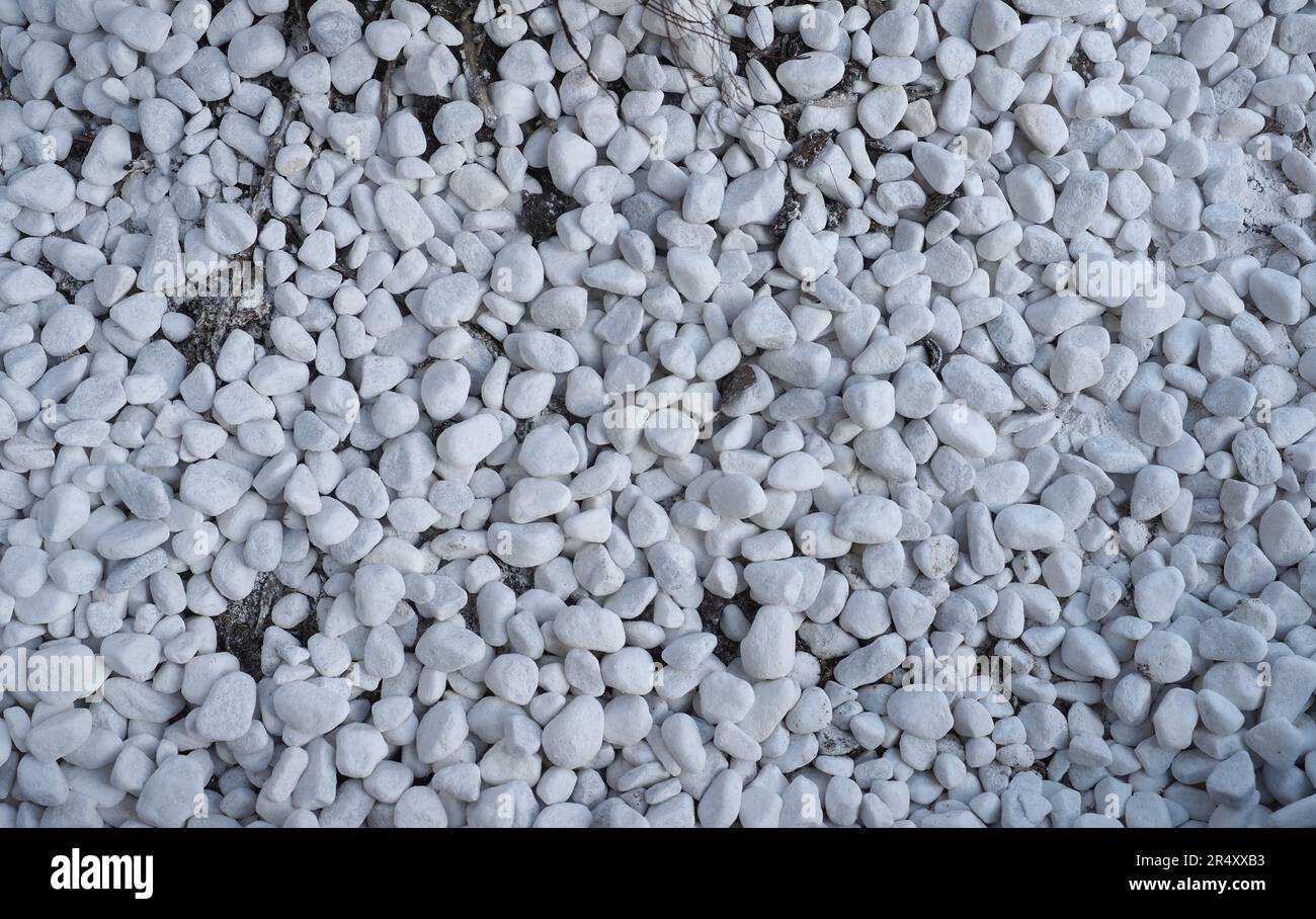 white pebbles texture useful as a background Stock Photo - Alamy