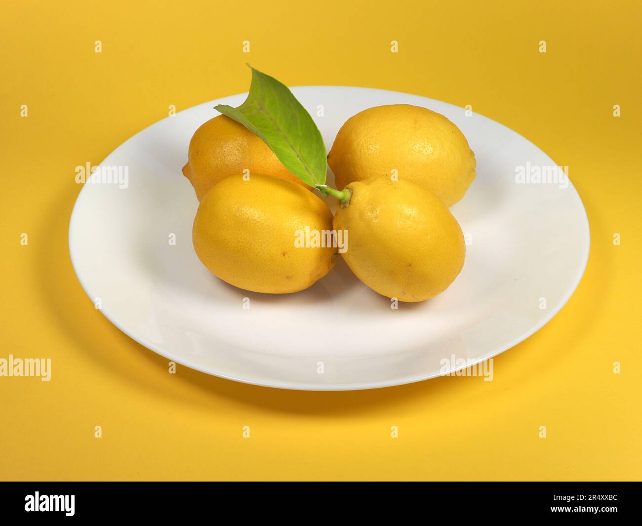 four lemons in a dish over yellow background with copy space Stock ...