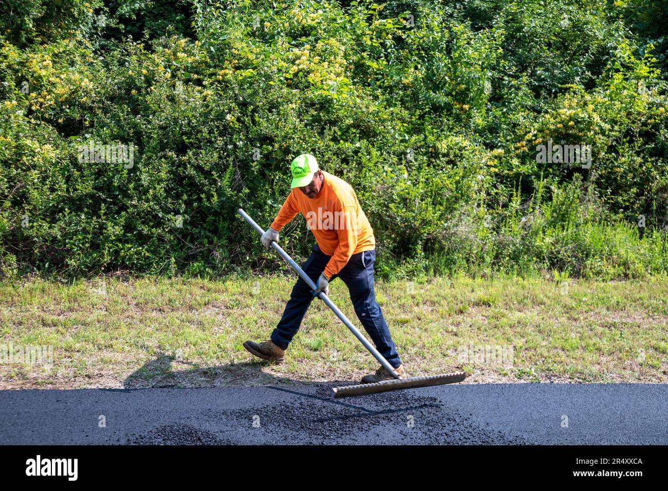 Walking branch hi-res stock photography and images - Alamy