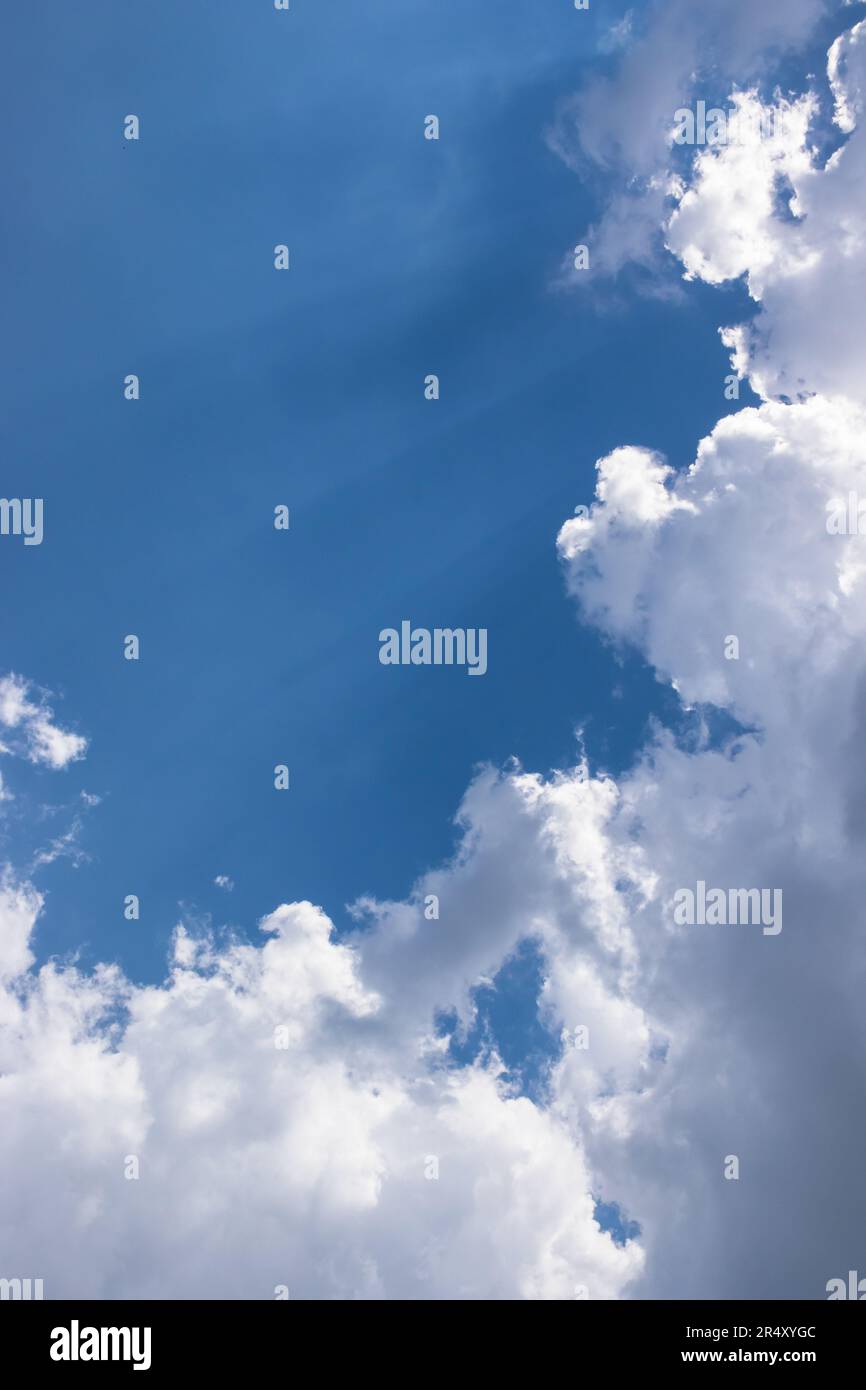 Sense of tranquility in nature hi-res stock photography and images - Alamy
