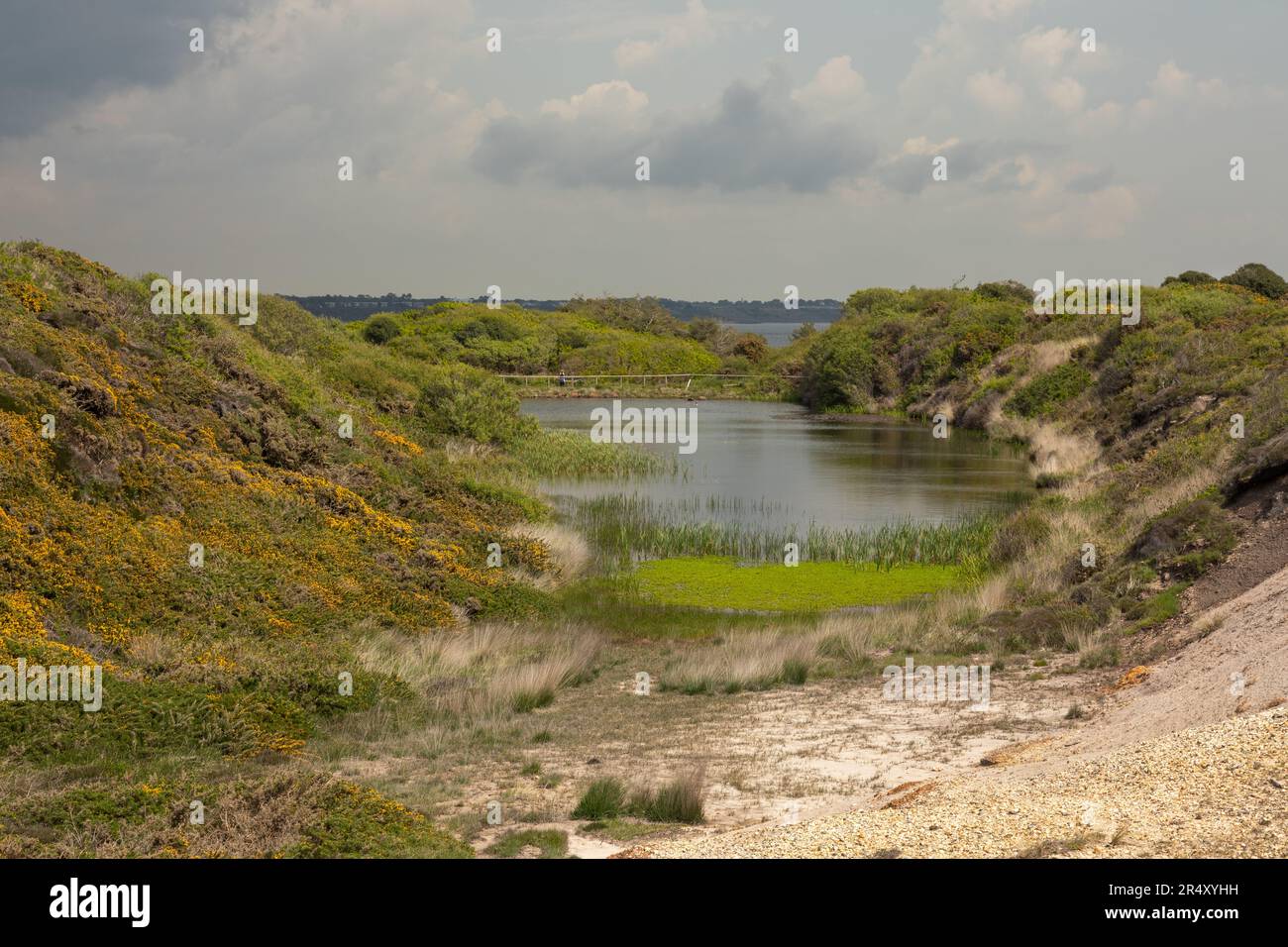 Quarry Pond at Hengistbury Head. An old ironstone mine and now a ...