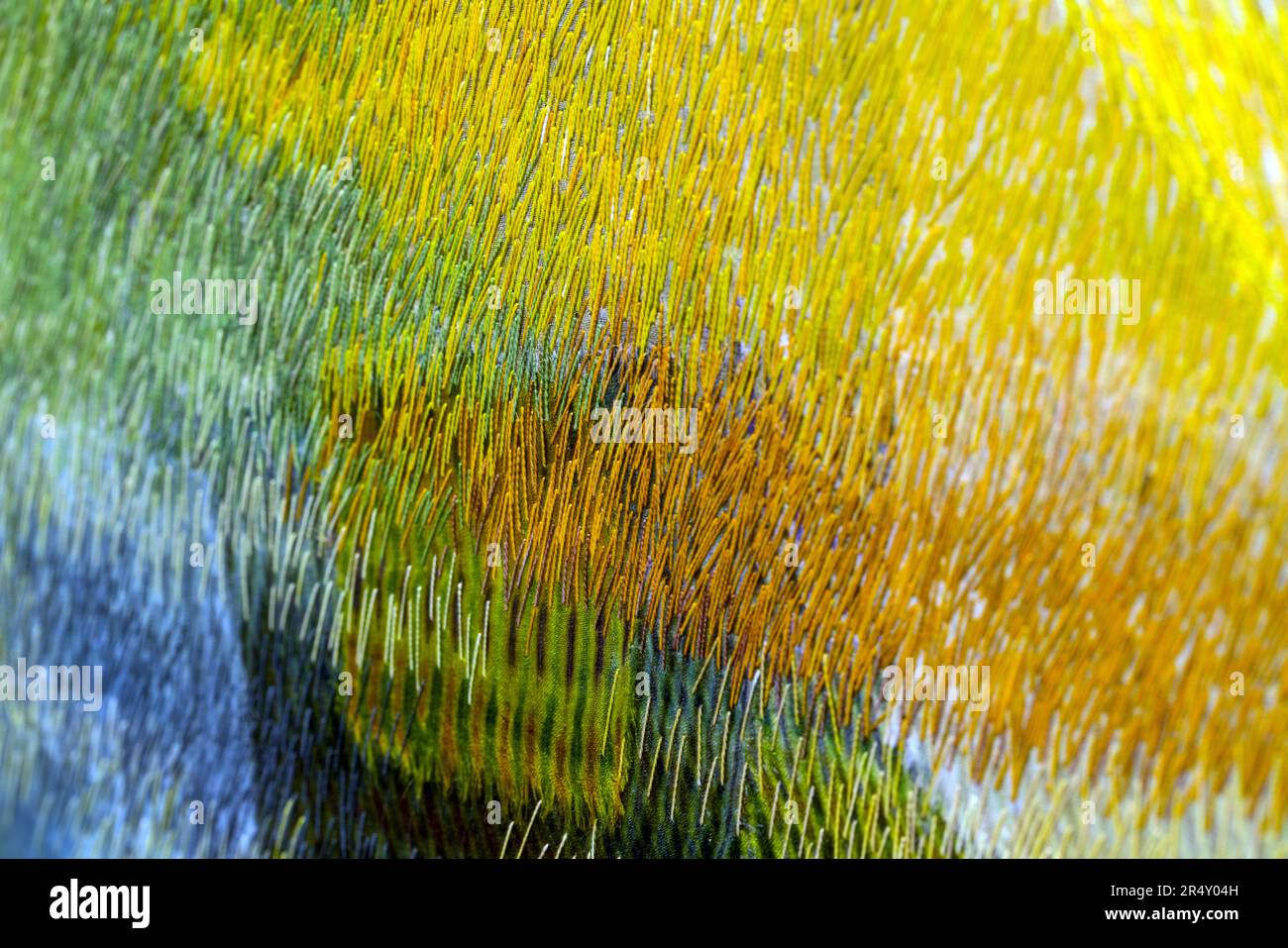 Unique fiber artwork hi-res stock photography and images - Alamy