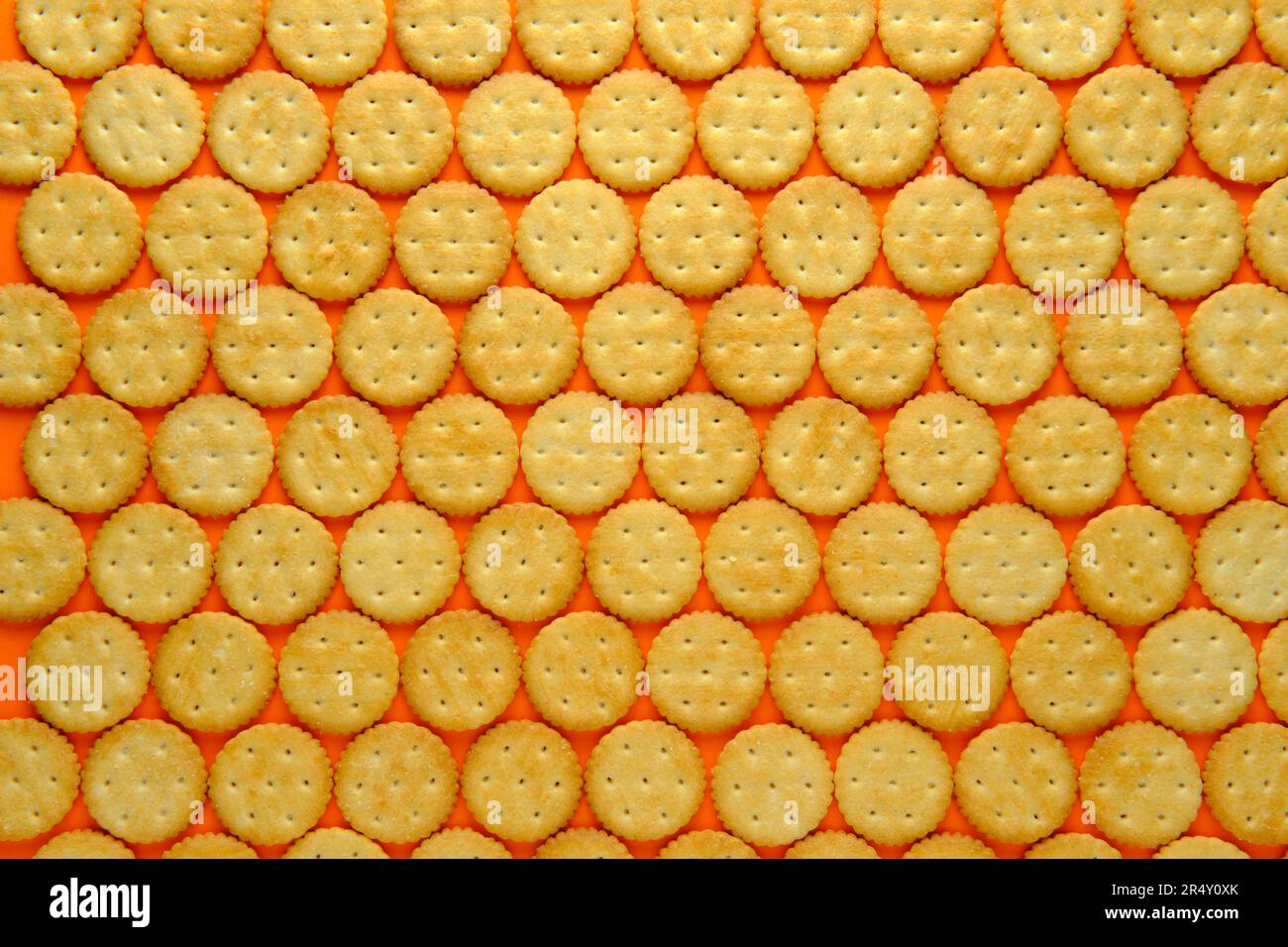 Round crackers in repeating rows against a plain background. Top-down ...
