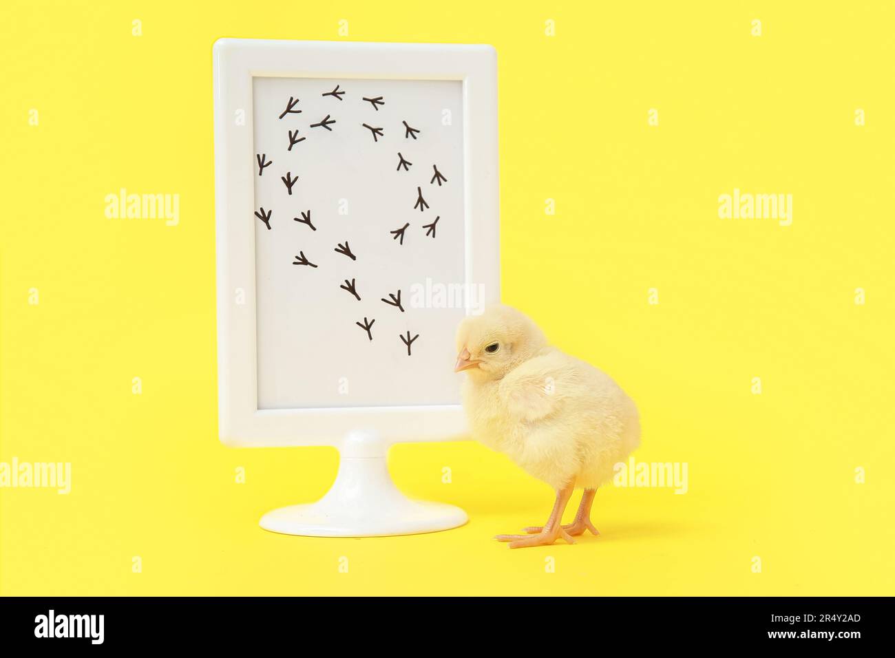 Frame with bird prints and cute little chick on yellow background Stock ...