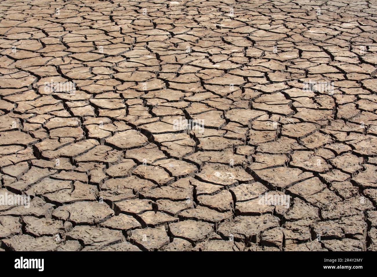 Dry river bed Stock Photo - Alamy