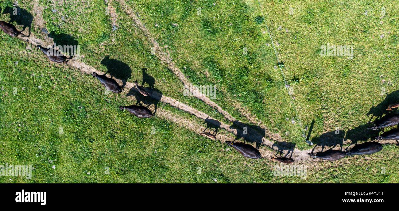 PRODUCTION - 25 May 2023, Mecklenburg-Western Pomerania, Groß Wokern ...