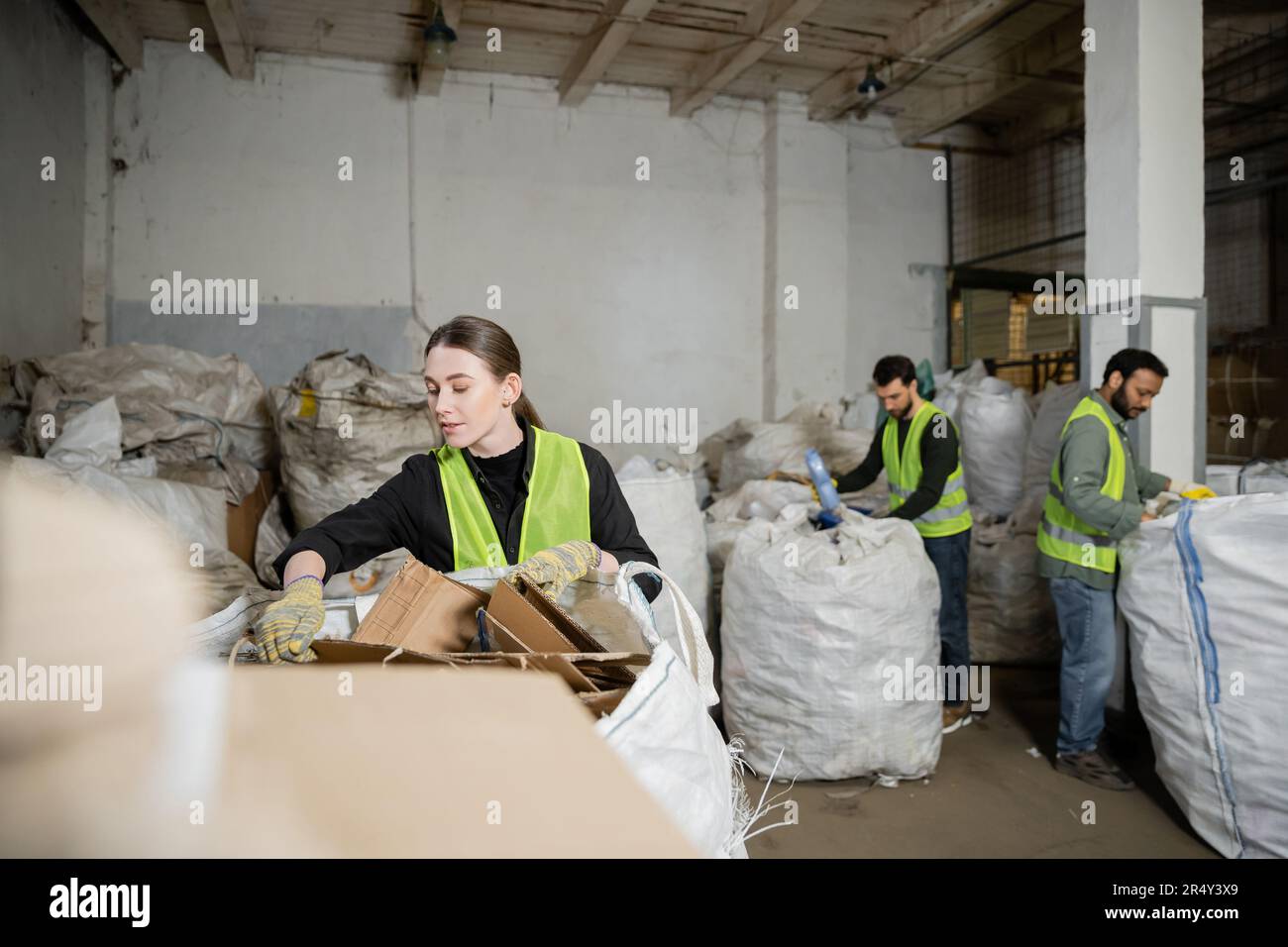 Young sorter in vest and protective gloves putting cardboard in sack ...
