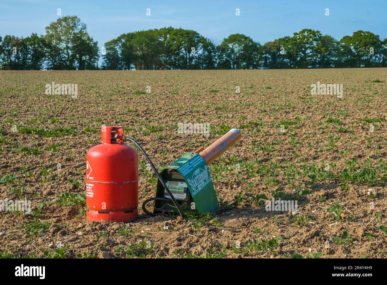 Scatterbird bird scarer protecting a recently sown field. Suffolk, East ...