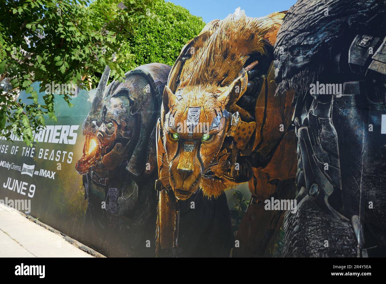 Los Angeles, California, USA 27th May 2023 Transformers Rise of the ...